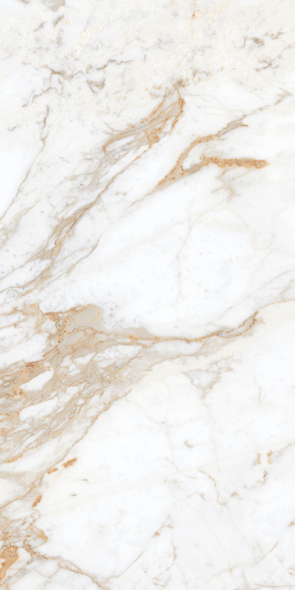 Spania Ceramica | Porcelain Tiles Manufacturer And Exporter