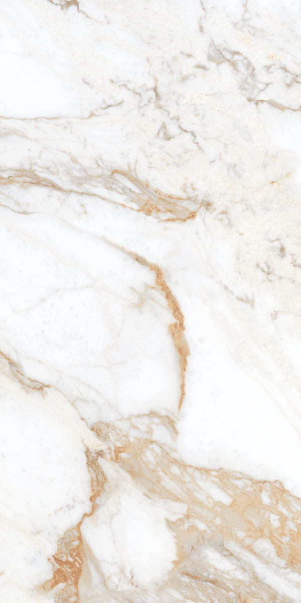 Spania Ceramica | Porcelain Tiles Manufacturer And Exporter